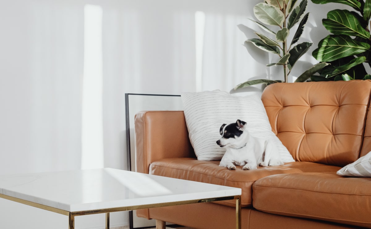 Flowing serpentines - Stella Benson Hair & Beauty Salon